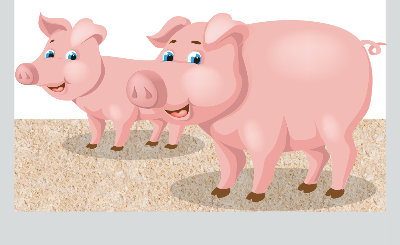 Orange Spanvall | Spanvall